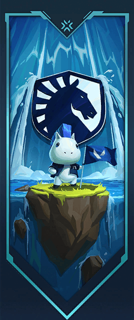 VCT x TL Card | SkinRanks